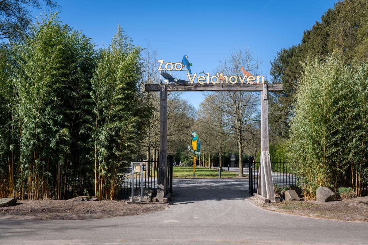 Ledenacties – Ontvang als lid van Zuid&Zo leuke kortingen